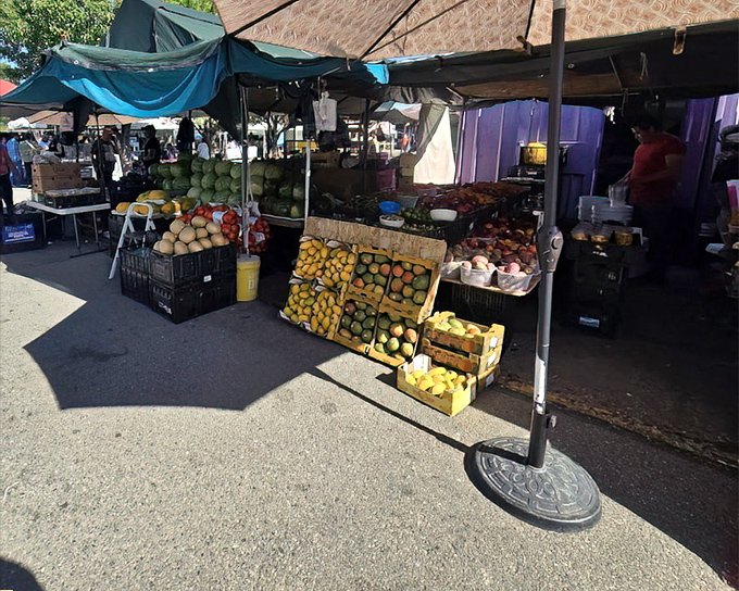 Farm-to-flea-market freshness! These vibrant fruits and vegetables bring a healthy option to a place otherwise dangerous to both wallet and waistline.