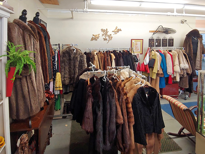 Fur coats with stories to tell, hanging like a timeline of fashion history. Each one probably attended better parties than you have.