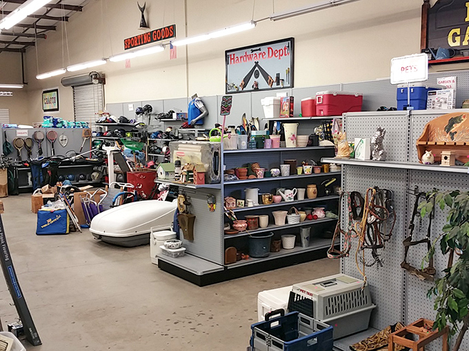 From garden gnomes to golf clubs &ndash; because your hobbies deserve affordable second chances.