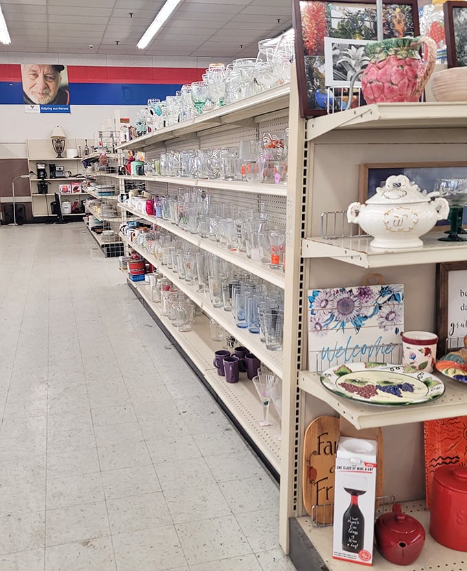 Crystal, glass, and ceramic vessels stand in formation&mdash;each one ready to hold flowers, serve drinks, or simply catch light beautifully.