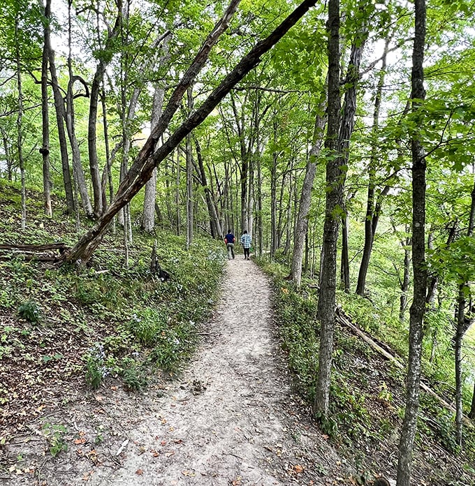 Forest trails that wind like nature's own choose-your-own-adventure book, minus the confusing plot twists.