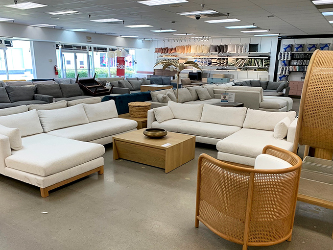 A sea of pristine sofas awaits new homes, each one silently promising to be the one piece of furniture your in-laws will actually compliment.