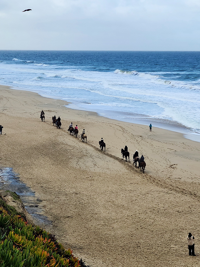 Nothing says "I've escaped reality" quite like a horseback procession along the shoreline where hoofprints temporarily join the ocean's artwork.