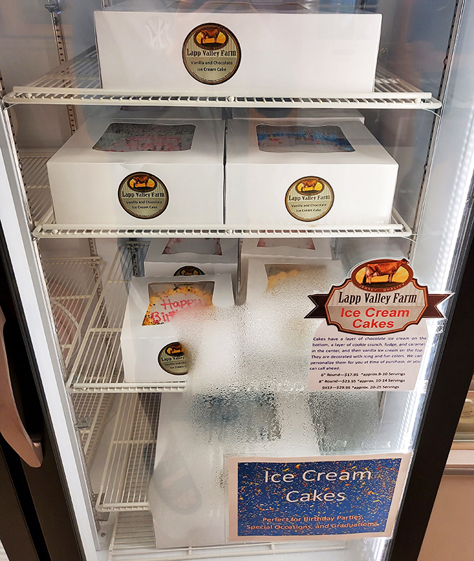 Ice cream cakes that make grocery store versions look like distant, sad cousins. These celebration-worthy creations are what birthday dreams are made of.