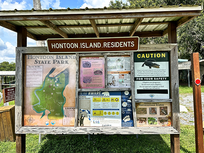 The park's information board&mdash;nature's version of Google, just without the ads or the need for Wi-Fi.