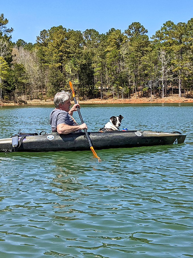 Even your dog gets premium seating for this floating adventure across mirror-calm lake waters today.