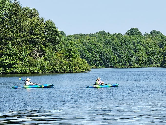 Peaceful kayaking on Hudson's waters&mdash;where the only traffic is an occasional turtle and the only honking comes from geese.