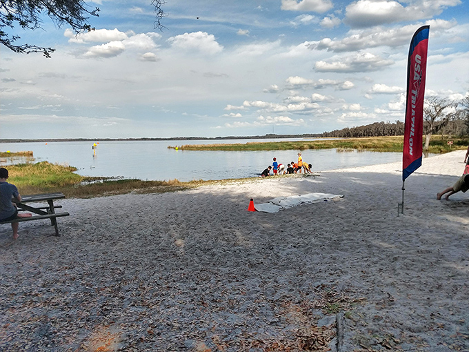Beach day, Florida interior style. No salt, no sharks, just sweet lake water and those famous Florida clouds that look like they're showing off.