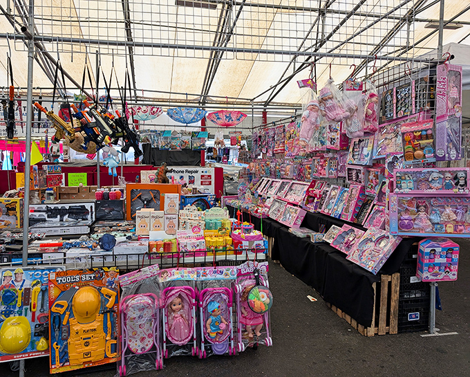 Toy wonderland where childhood dreams come in pink, plastic, and practically every color imaginable. Grandparent kryptonite at its finest!