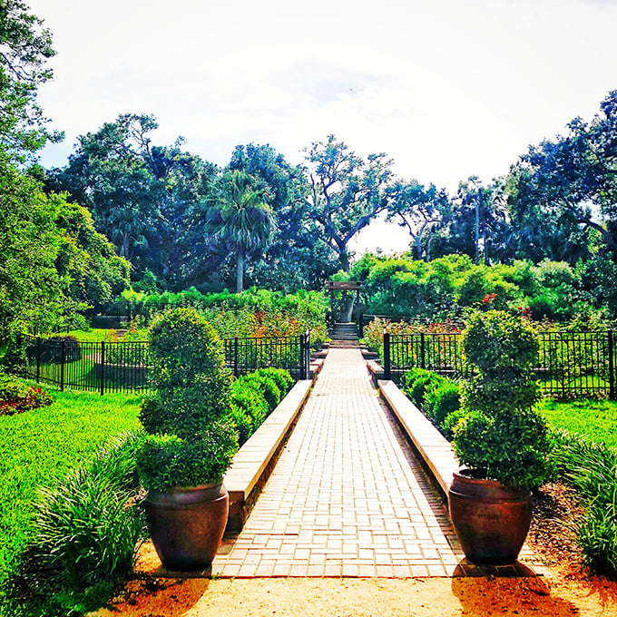 Garden geometry: Formal pathways lined with manicured hedges create a sense of order that somehow enhances rather than constrains nature's beauty.