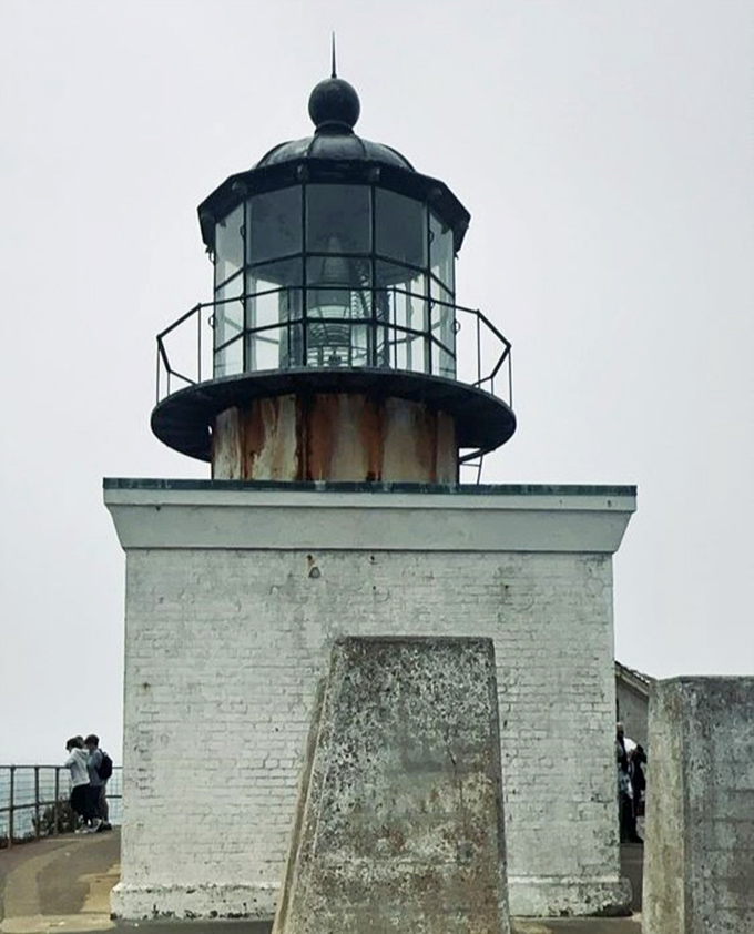 The lighthouse crown catches sunlight like nature's own disco ball, minus the Saturday Night Fever.