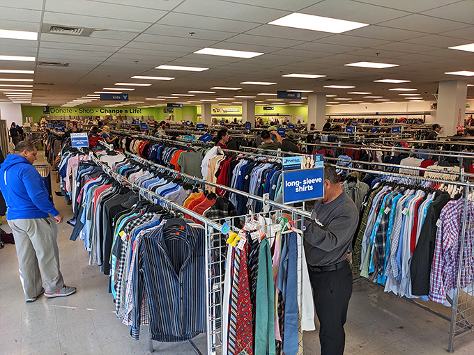 The long-sleeve section: where patience becomes a virtue and methodical browsing separates the amateur from the professional thrifter.