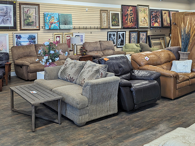 Sofa kingdom: where your next nap station awaits, already broken in to perfection by someone who clearly appreciated a good afternoon snooze.