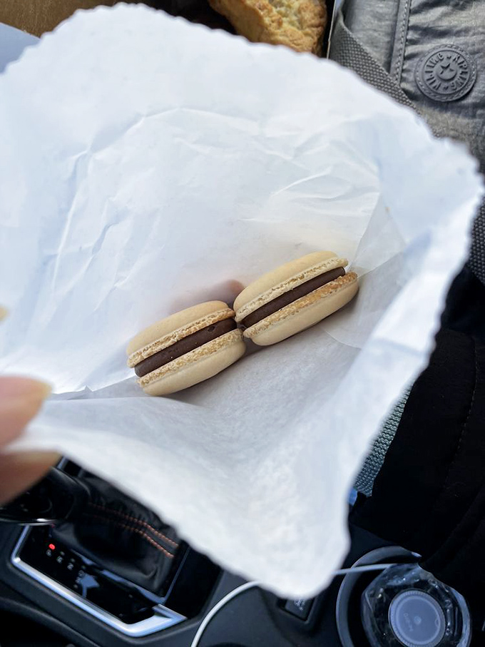 Two chocolate macarons nestled in tissue paper like precious jewels&mdash;the perfect dashboard dining for when you simply can't wait until you get home.