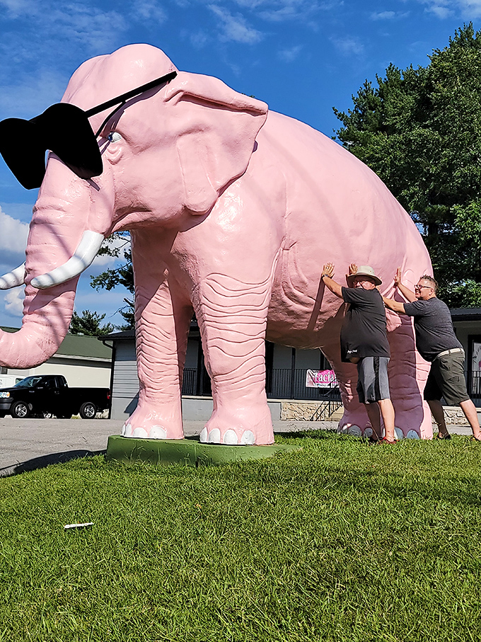 Some attractions inspire such enthusiasm that visitors can't help but engage with them physically &ndash; Ellie brings out the playful side in everyone.