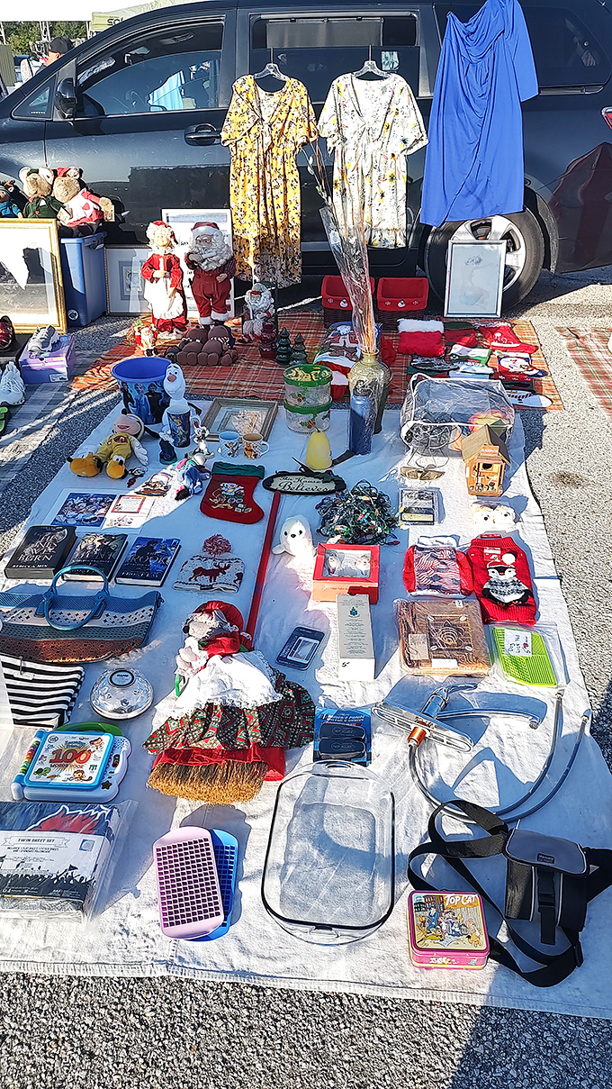 Plush companions and framed memories waiting to start their second acts in new homes.