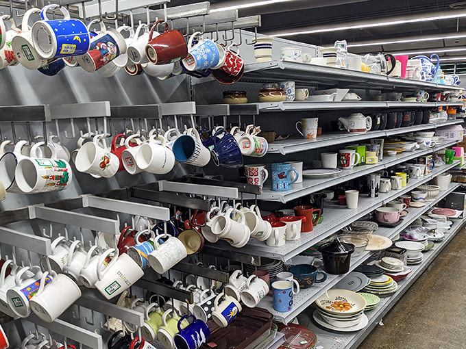 Mug heaven for coffee enthusiasts and souvenir collectors alike. Each handle-adorned vessel tells a story &ndash; from forgotten vacations to abandoned office jobs.