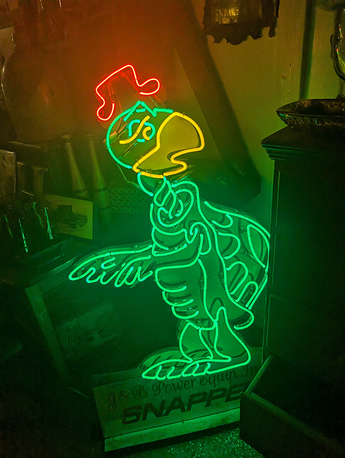 A neon turtle glows with vintage charm. The kind of whimsical find that transforms a boring wall into your home's most photographed spot.