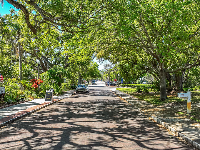 Streets canopied by ancient oaks create natural tunnels of dappled sunlight &ndash; nature's air conditioning in a state that definitely needs it.