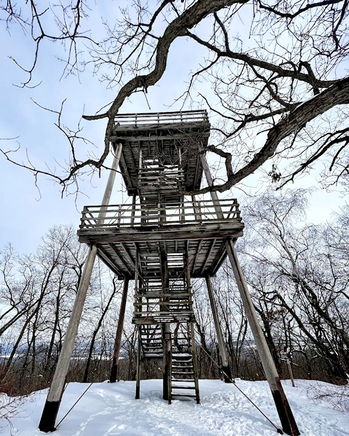 The observation tower stands like a rustic Eiffel Tower of the Midwest. Those stairs promise views worth every labored breath.