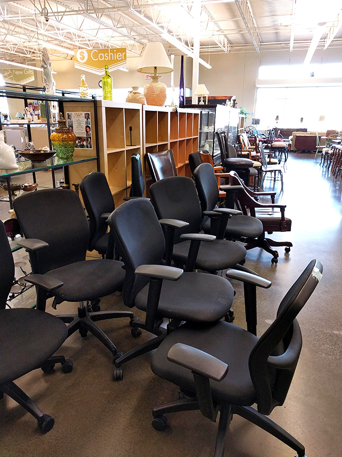 Office chair nirvana! Where corporate cast-offs find new purpose and work-from-home warriors discover ergonomic bliss without the executive price tag.