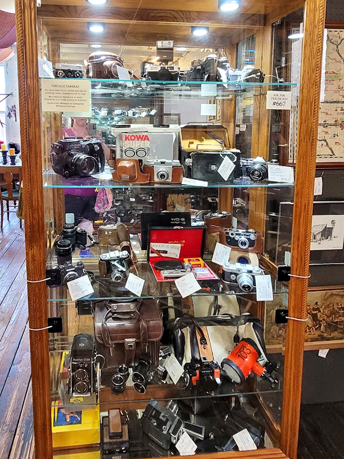 Camera collectors, rejoice! This glass case houses mechanical marvels from the days when "filters" were physical attachments and every shot was precious.