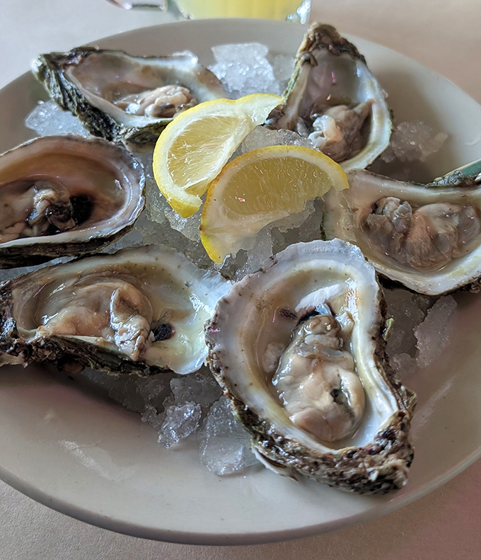 Fresh oysters glistening on ice like jewels from Neptune's personal collection, needing nothing more than a squeeze of lemon to shine.