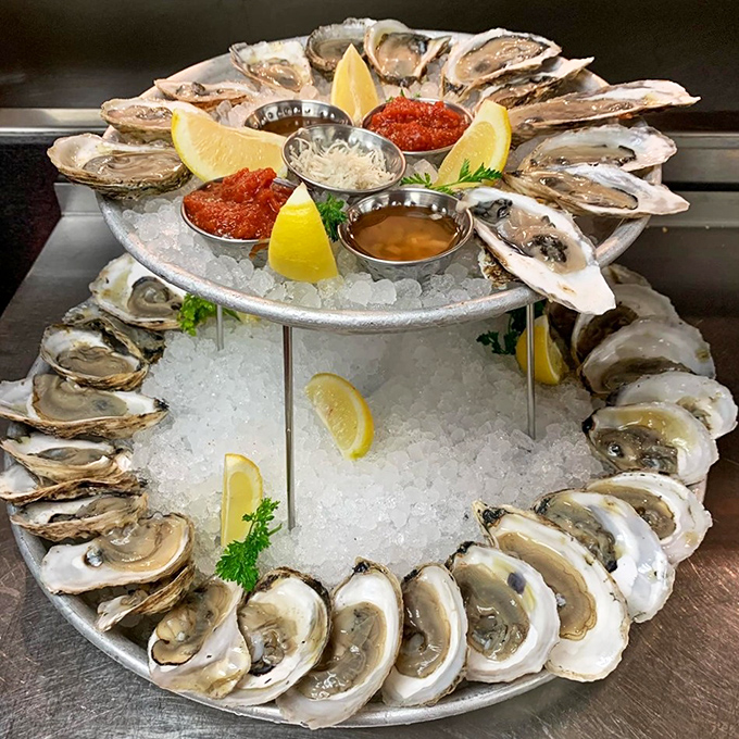 Fresh oysters arranged like oceanic jewels on crushed ice - Mother Nature's version of edible pearls waiting for your appreciation and cocktail sauce.