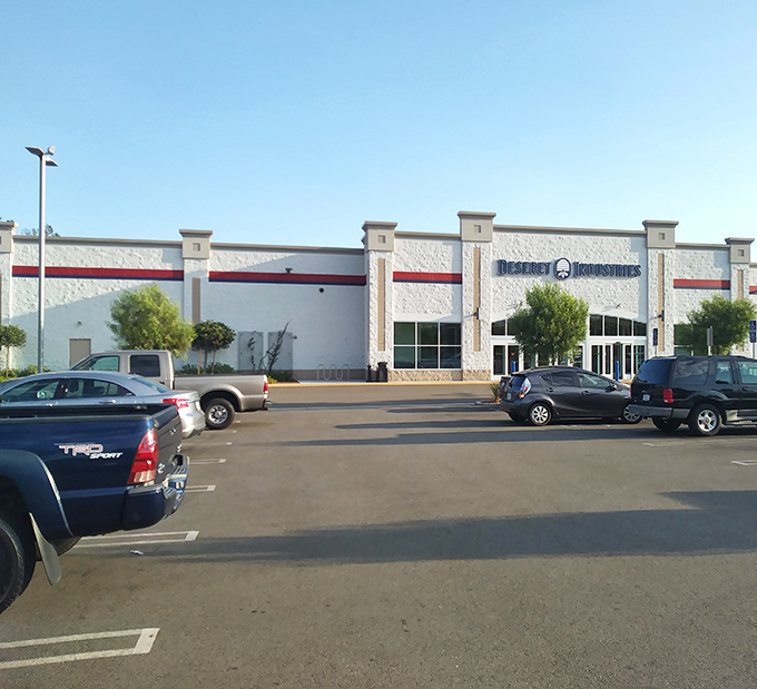 The parking lot rarely empties – a testament to the magnetic pull of affordable retail therapy in an age of eye-watering price tags.