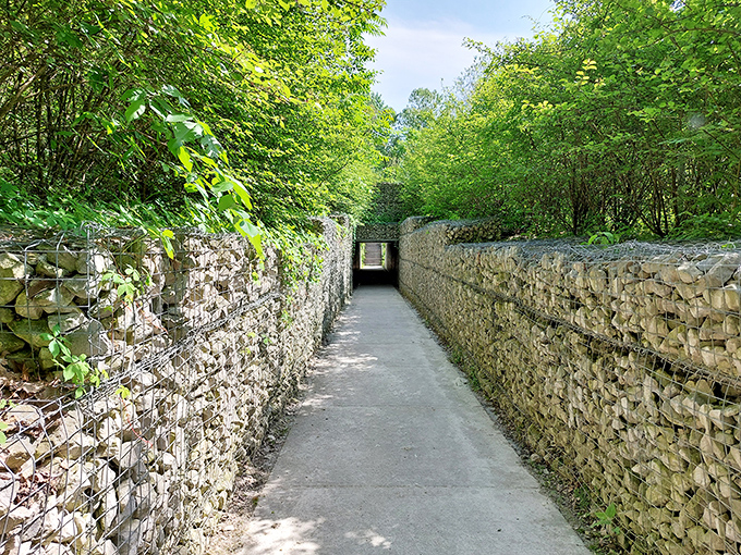 Not just a path, but a journey between worlds. These stone-filled gabion walls create a corridor that's both industrial and surprisingly organic.