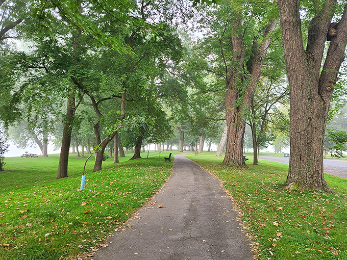 Misty mornings transform ordinary walking paths into enchanted corridors, where each step feels like wandering through a watercolor painting.