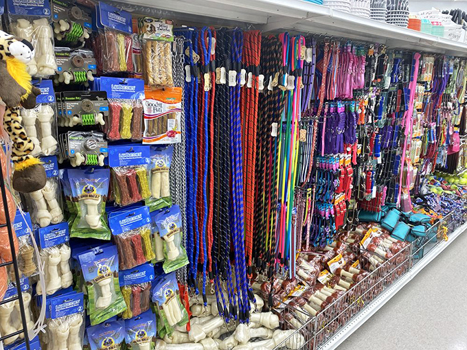Pet paradise with enough toys and treats to make your four-legged friend forgive you for that last trip to the vet.