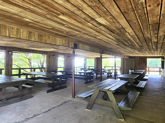 Picnic tables with a view! This gathering area provides a peaceful spot to enjoy lunch while contemplating the geological wonders you've just witnessed below.