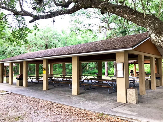 Under the dappled shade of oak trees, these picnic pavilions offer the perfect spot to unwrap your sandwich and your latest wrapped antique find.