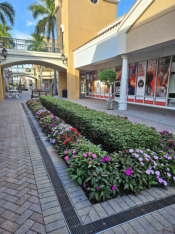 Meticulously maintained landscaping proves that even discount shopping deserves a beautiful backdrop. Those flowers didn't discount their blooming efforts.
