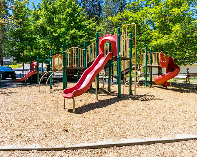 Even the playground in Nevada City seems to exist in harmony with the surrounding pines, offering family fun beneath the watchful forest canopy.