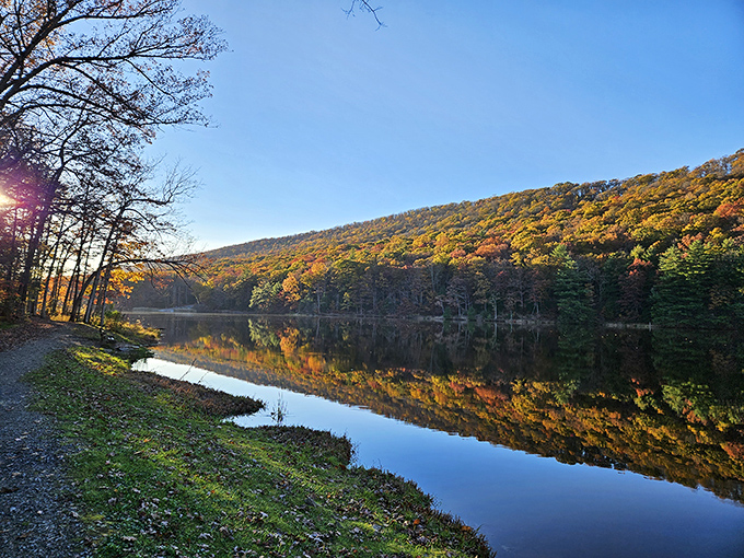 Fall's reflection game is strong! Poe Lake's autumn mirror effect creates a double dose of seasonal splendor.