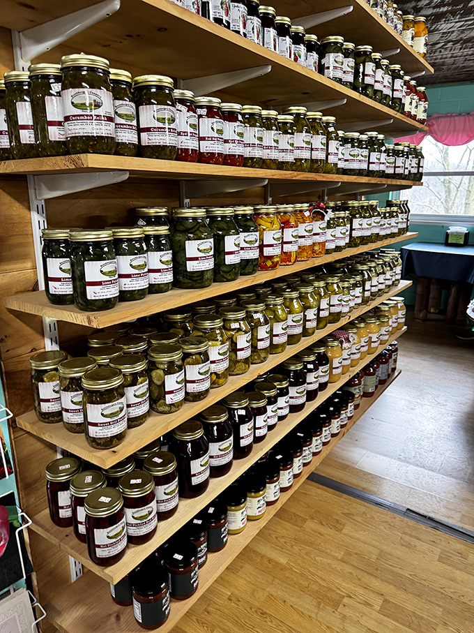 The wall of preserved goodness stands like a colorful, edible library where each jar tells a story of harvest, tradition, and patience.