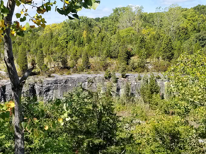 Ancient limestone cliffs tell silent stories of the quarrying industry that once shaped both this island and countless buildings across the Midwest.