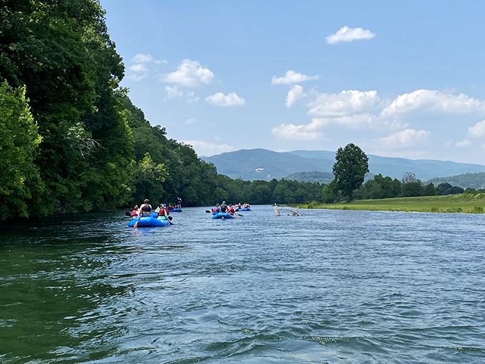 Kayakers navigate the gentle currents of the Elk River, where the water is so clear you can count the fish ignoring your presence.
