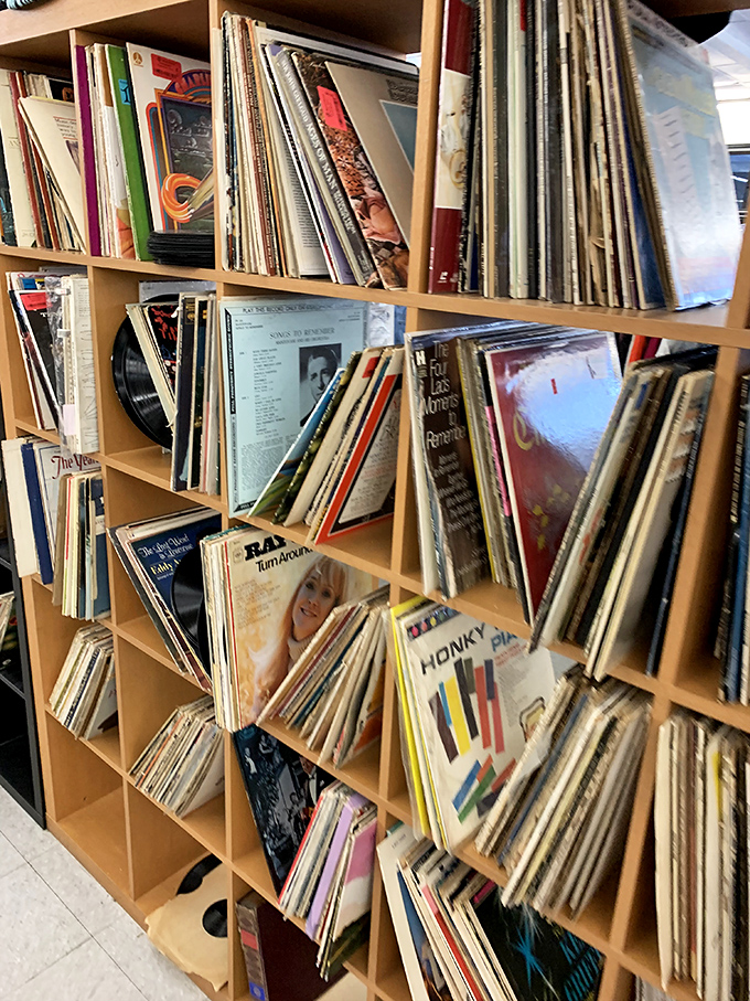 Vinyl paradise for music lovers! From Grateful Dead to classical masterpieces, these albums offer analog warmth that Spotify can't touch.