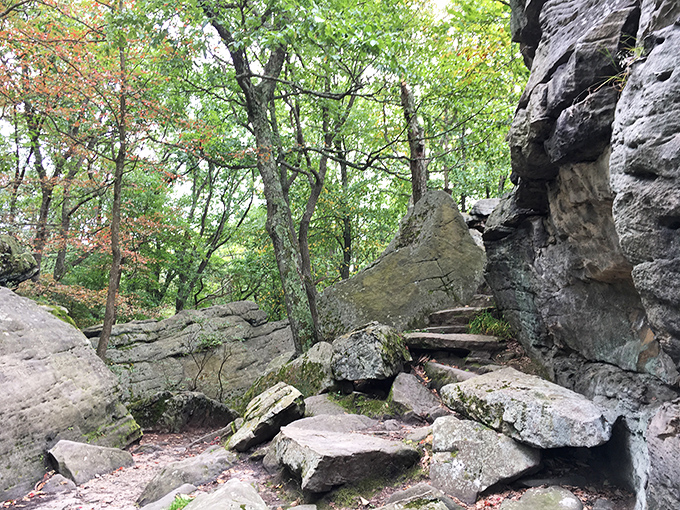 Nature's staircase leading to&hellip; more nature. These ancient rock formations have been waiting millions of years for your hiking selfie. 
