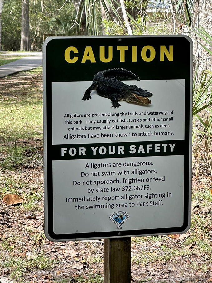 Florida's reminder that we're visitors in alligator country. These prehistoric residents have seniority and demand respectful distance.