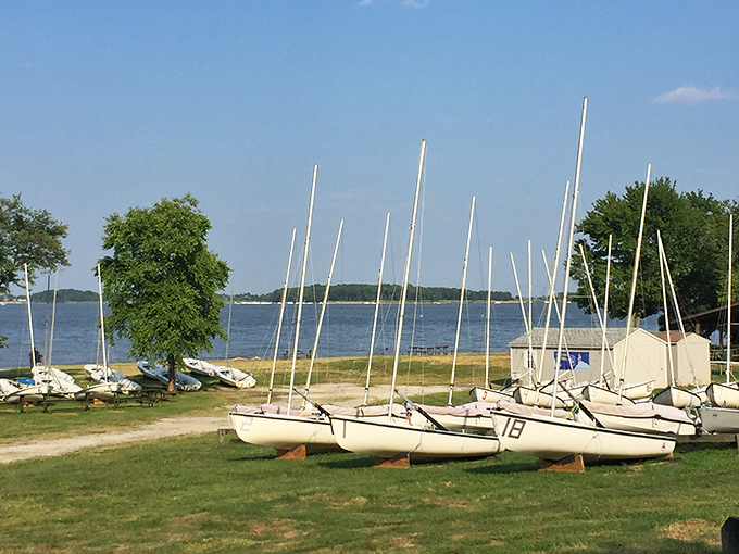 Sailboats resting between adventures. These dormant vessels hold stories of Chesapeake breezes and summer memories waiting to unfold again.
