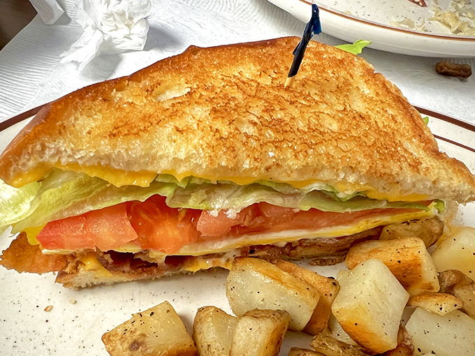 A sandwich built with structural integrity that would make engineers proud. Notice how the perfectly toasted bread contains that garden of ingredients.