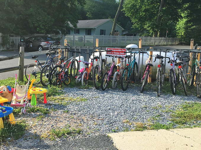 Bicycle bonanza! A rainbow of two-wheeled freedom machines waiting for new adventures. That beach cruiser is practically begging for a seaside ride.