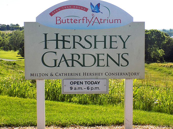 The sign says it all&mdash;butterflies and gardens, open today! Like finding out your two favorite restaurants decided to merge into one perfect experience.