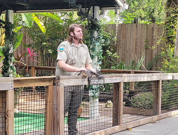 Park rangers: part educator, part entertainer, and entirely dedicated to making sure you don't try to take a selfie with an alligator.