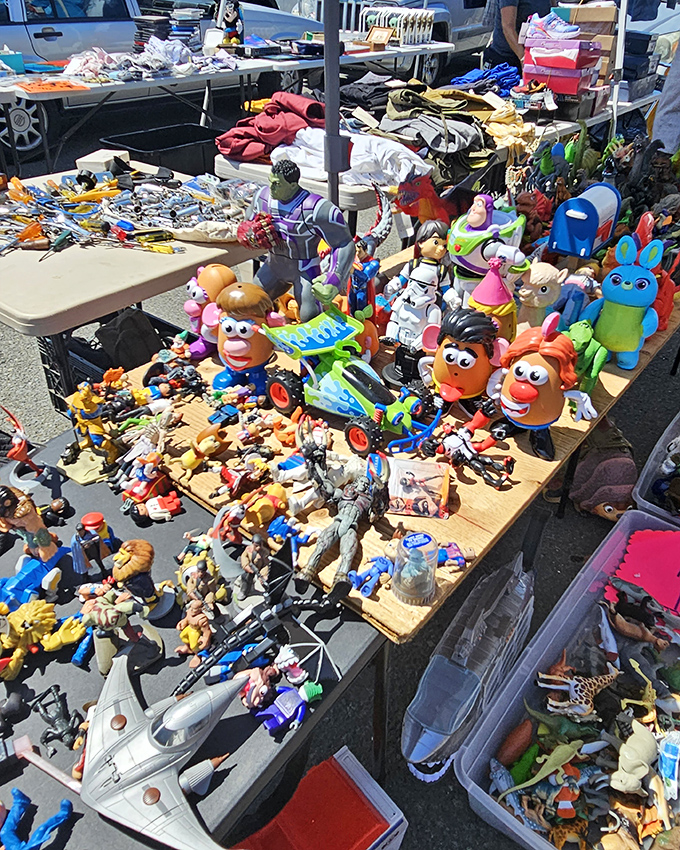 Nostalgia by the pound! This table of misfit toys and action figures is where childhood memories come to be rediscovered and rescued.