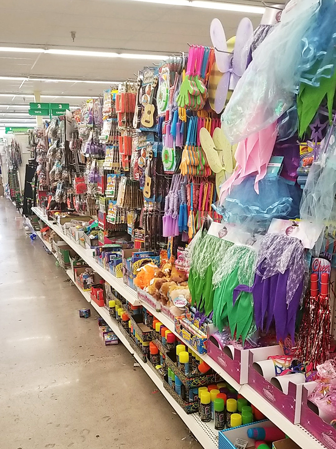 Costume accessories and party favors galore! This aisle transforms ordinary Tuesdays into celebrations and makes birthdays legendary without breaking the bank.